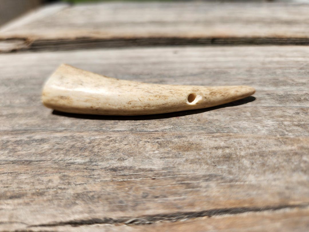 Powder Measurer, Black Powder Measurer 25 Grain, Made With All Natural ...