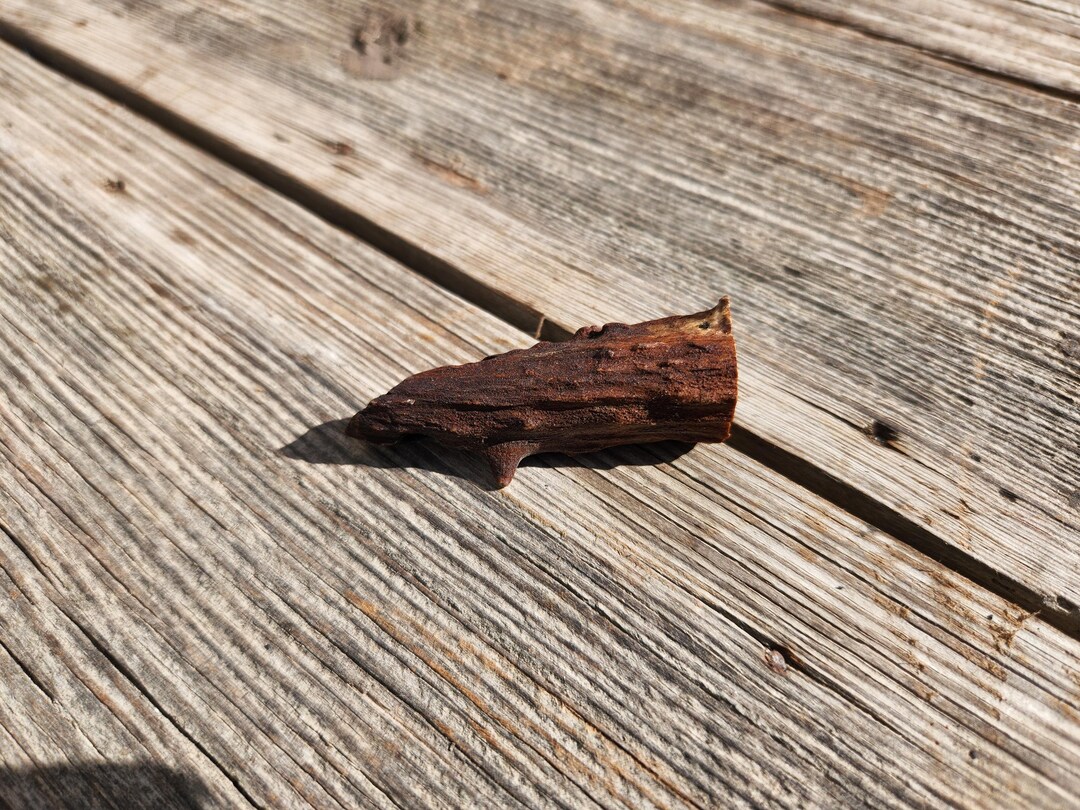 Powder Measurer, Black Powder Measurer 65 Grain, Made With All Natural ...