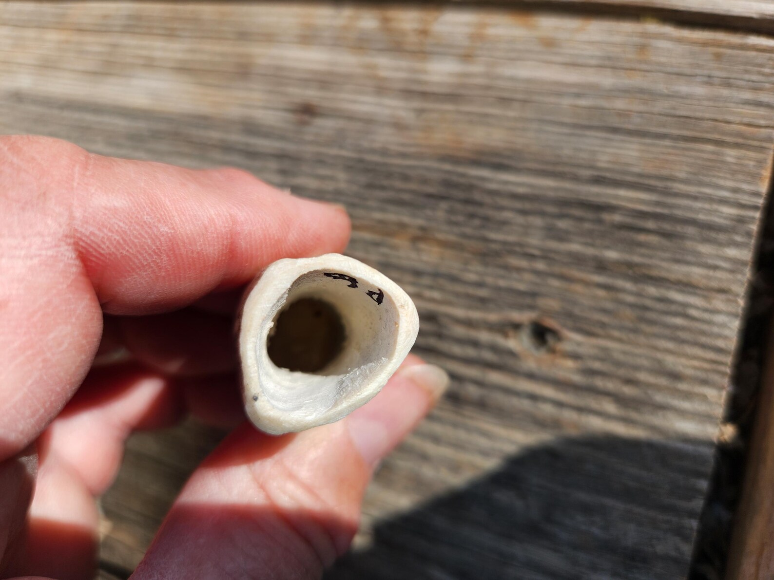 Powder Measurer, Black Powder Measurer 90 Grain, Made With All Natural ...