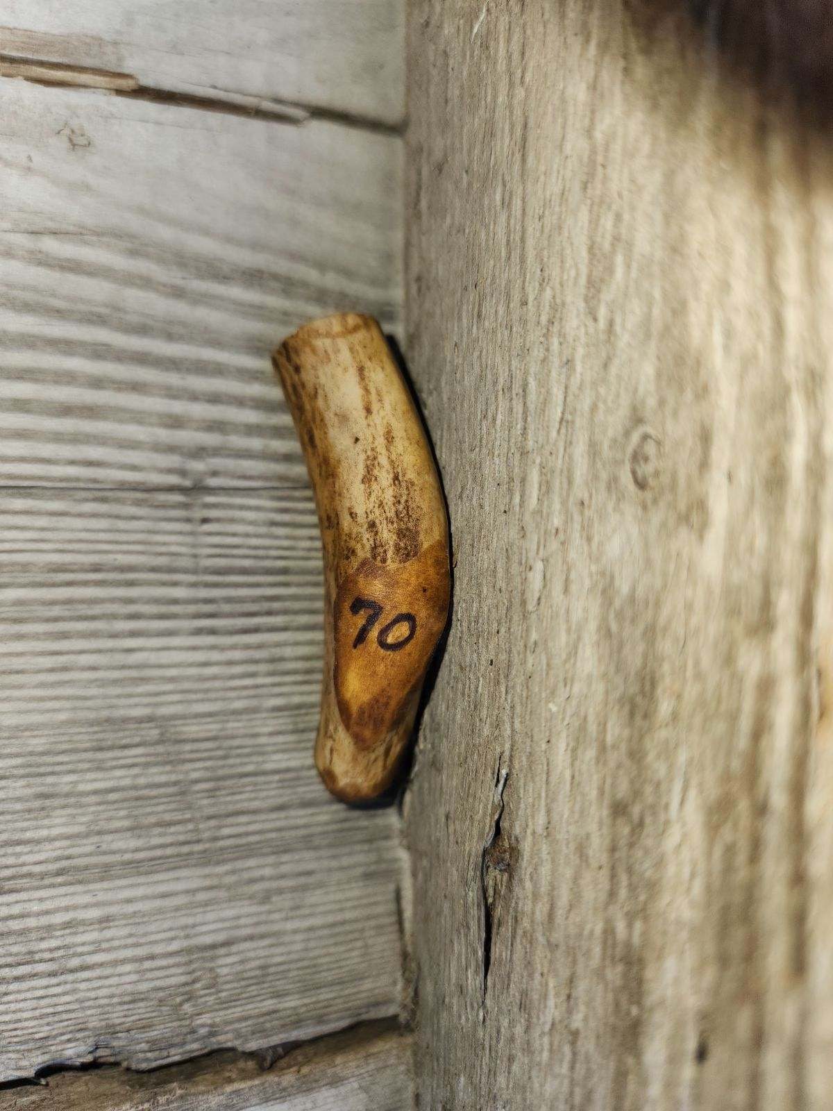 Powder Measurer, Black Powder Measurer 70 Grain, Made With All Natural ...