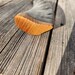 Goat Horn Pan Primer With a Hedge Plug on the End. - Etsy