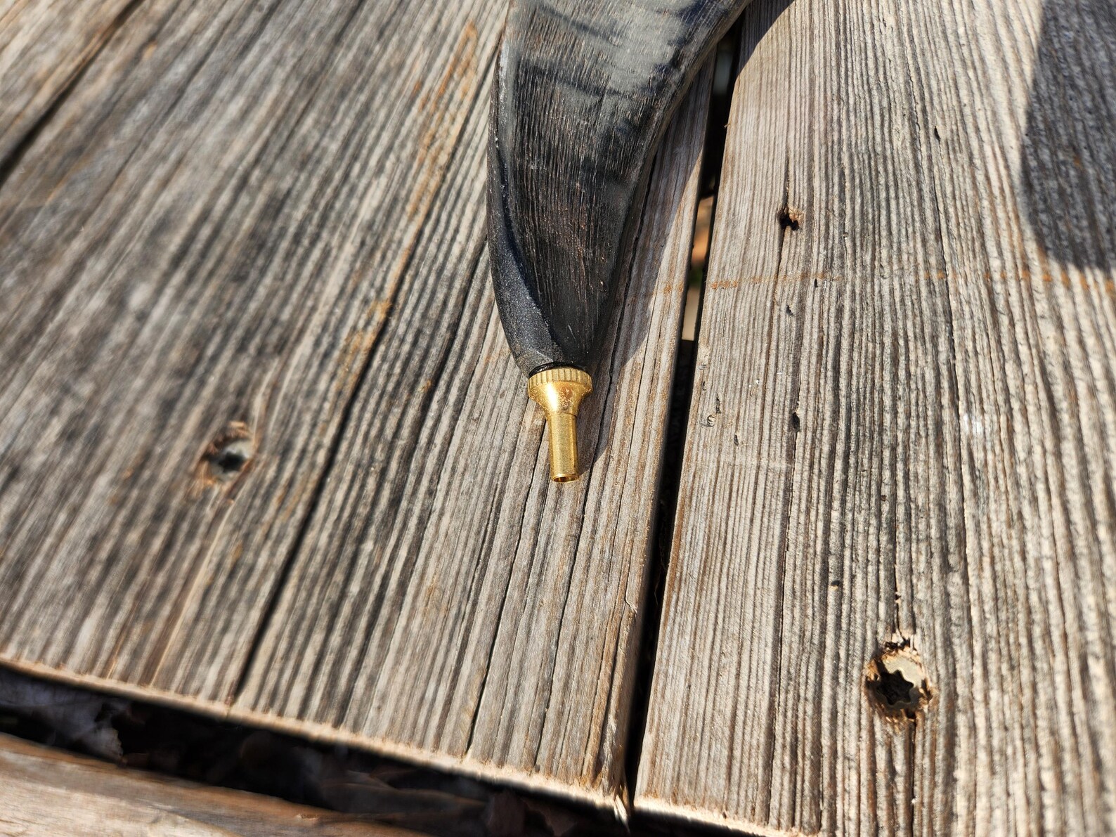 Goat Horn Pan Primer With a Hedge Plug on the End. - Etsy