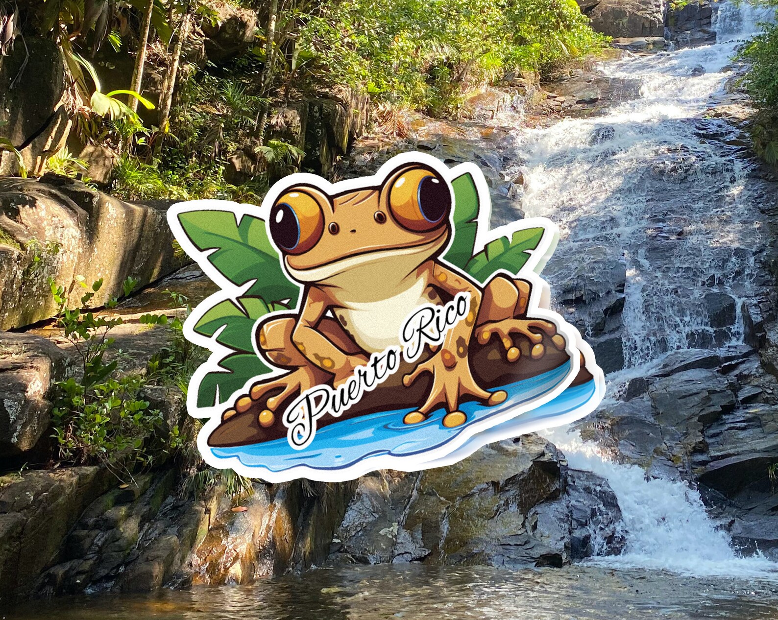 Coqui Puerto Rico glossy Stickers Indoor Stickers Waterproof Stickers ...