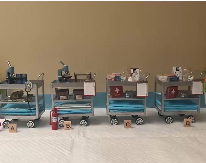 Dollhouse Hospital Medical Cart 1:6 - Etsy