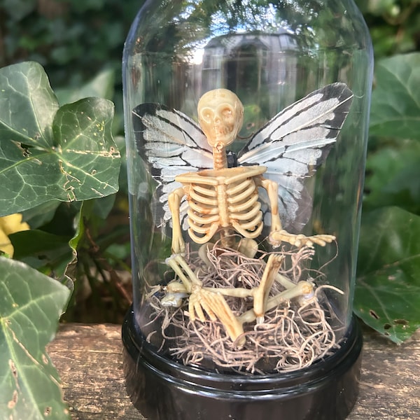 Butterfly Skeleton - Etsy