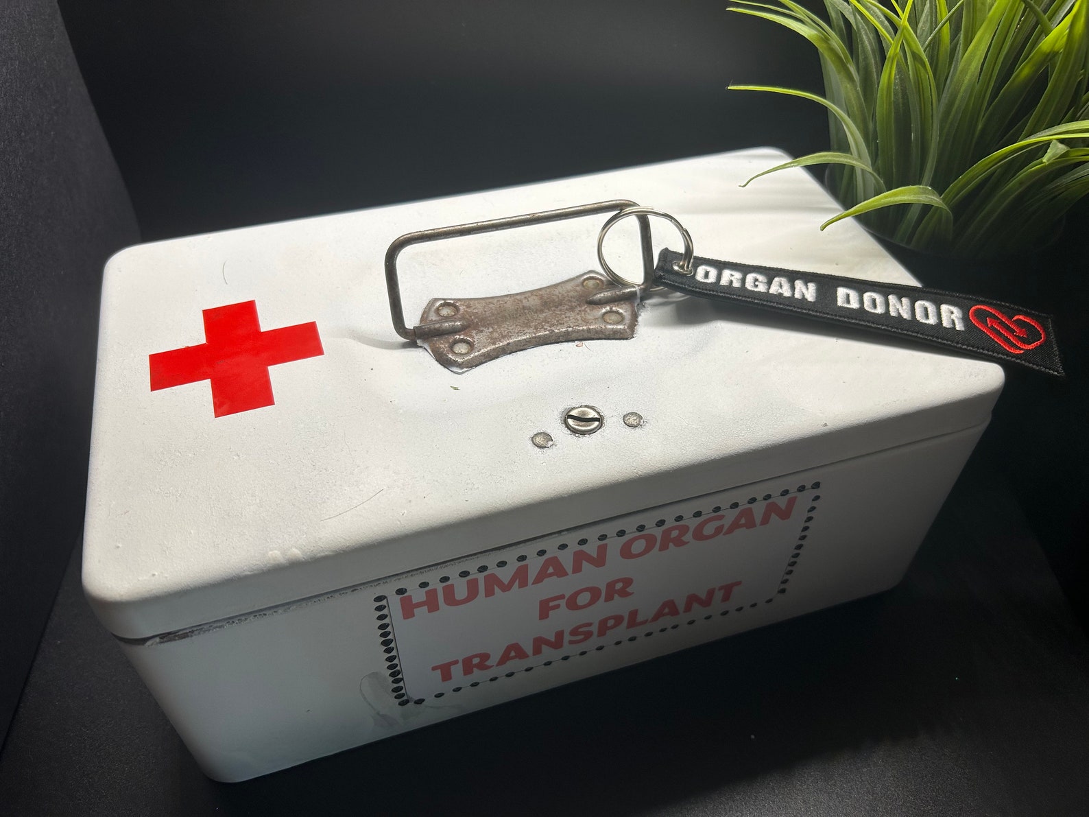 Organ Donor Box - Etsy