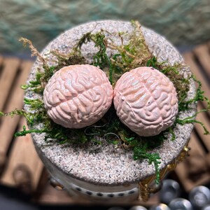 Cloning Juice Magic Potion - Etsy