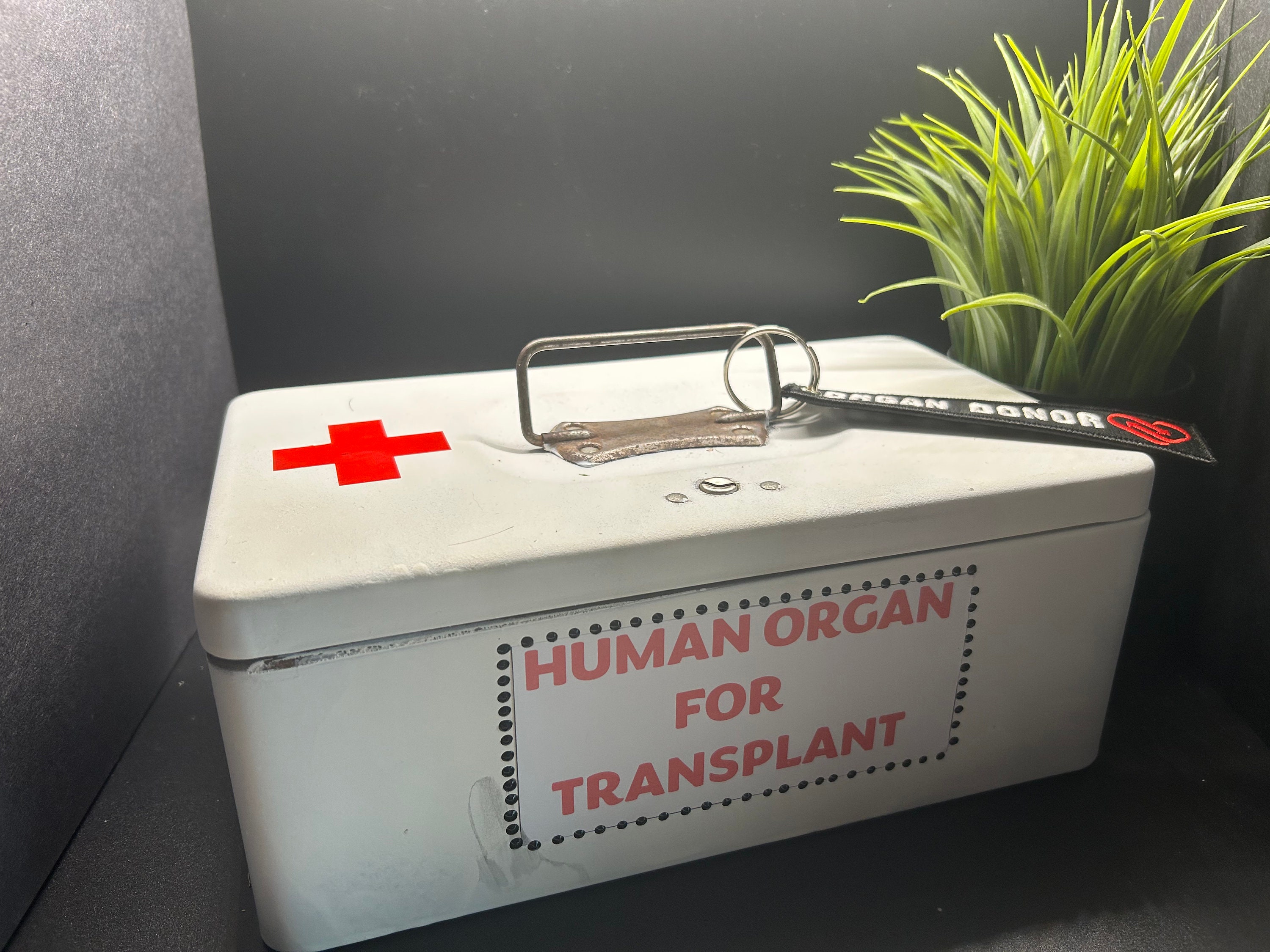 Organ Donor Box - Etsy