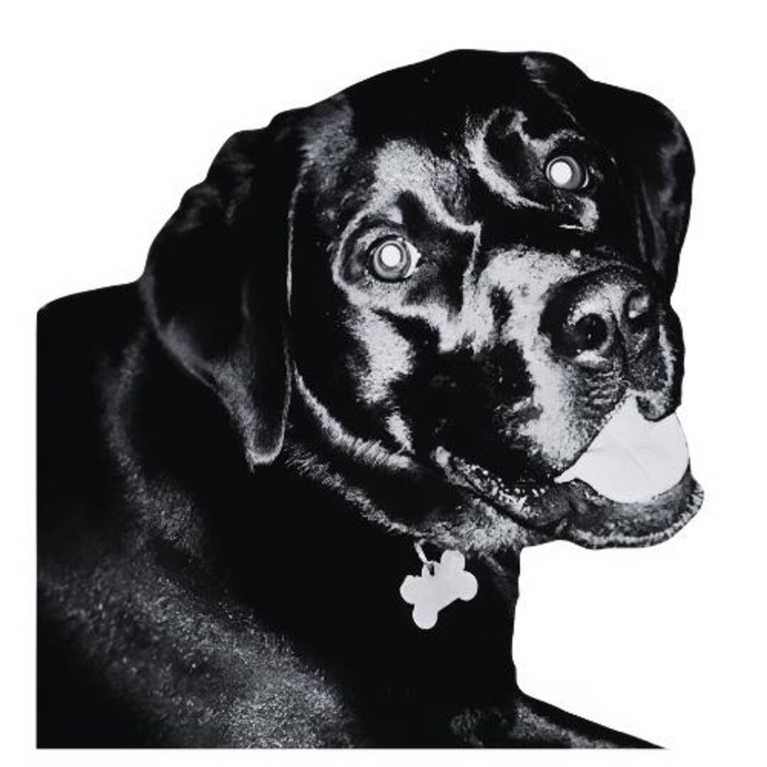 Happy Lab Digital Art | Half Lab Half Amazing - Etsy