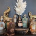 Apothecary / Potion Toad Flax - Etsy