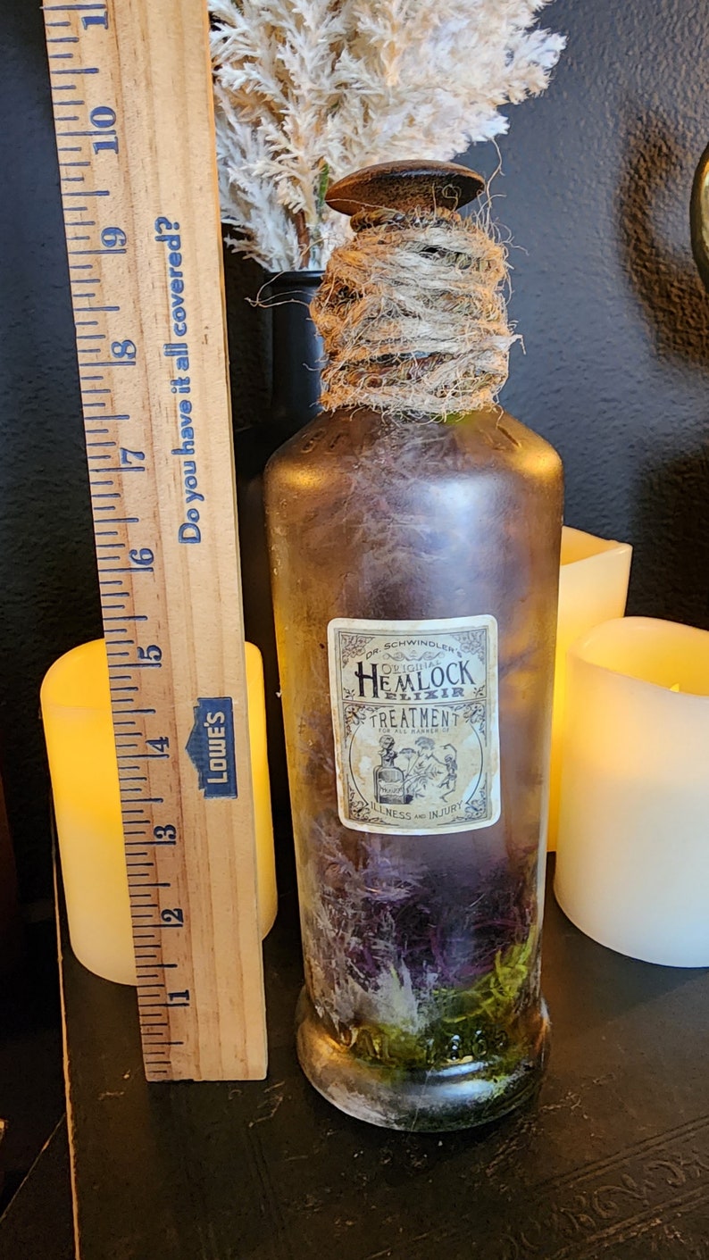 Apothecary / Potion Hemlock Elixer - Etsy