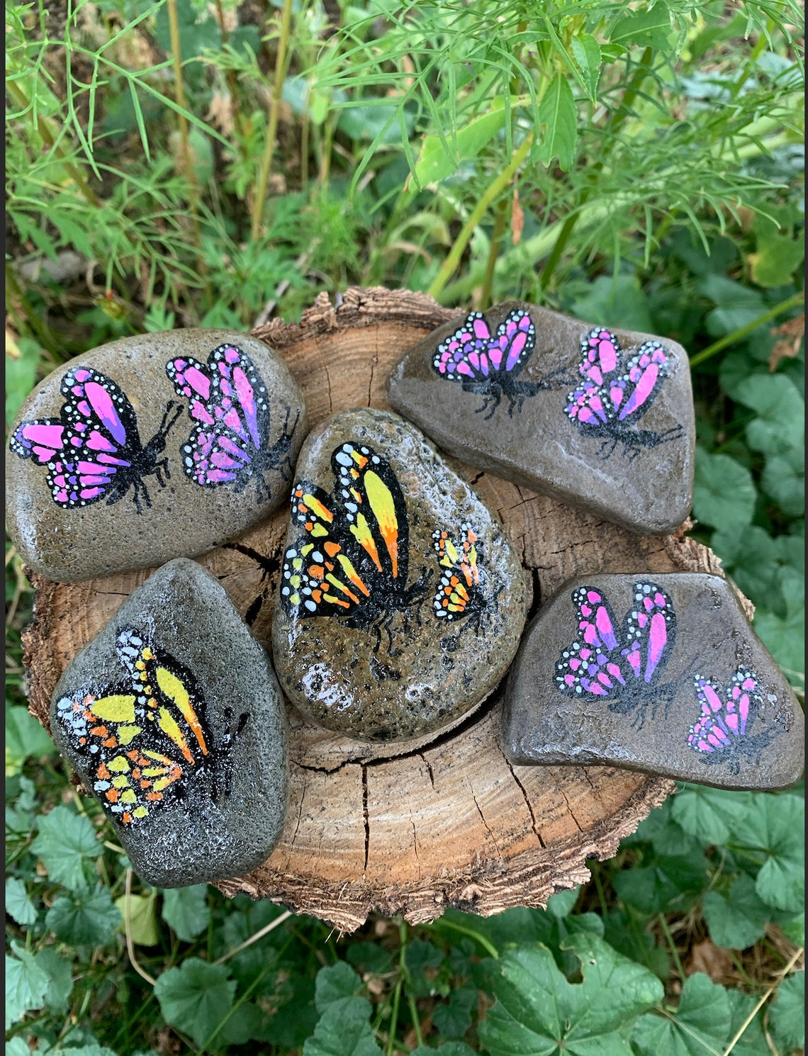 Hand-painted Butterfly Rocks - Etsy