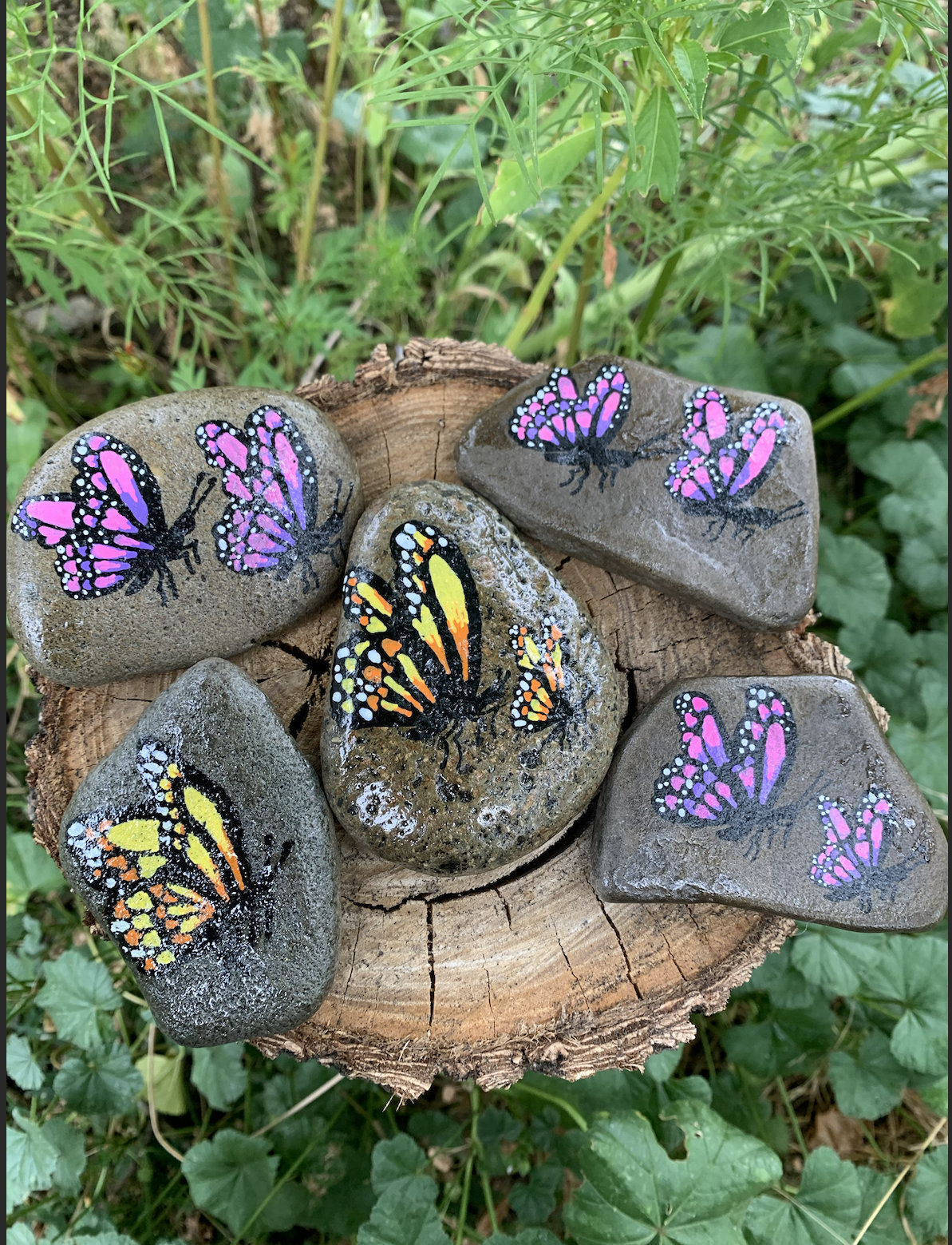 Hand-painted Butterfly Rocks - Etsy
