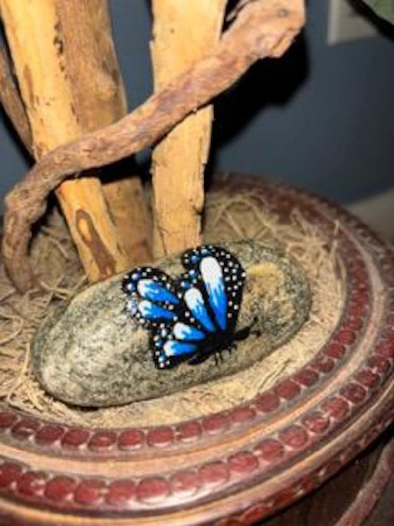 Hand-painted Butterfly Rocks - Etsy