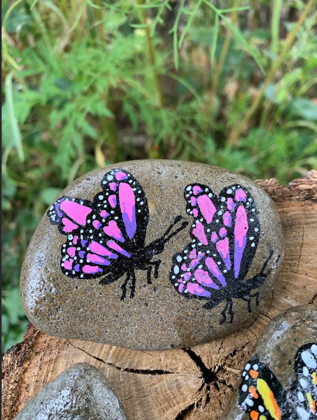 Hand-painted Butterfly Rocks - Etsy