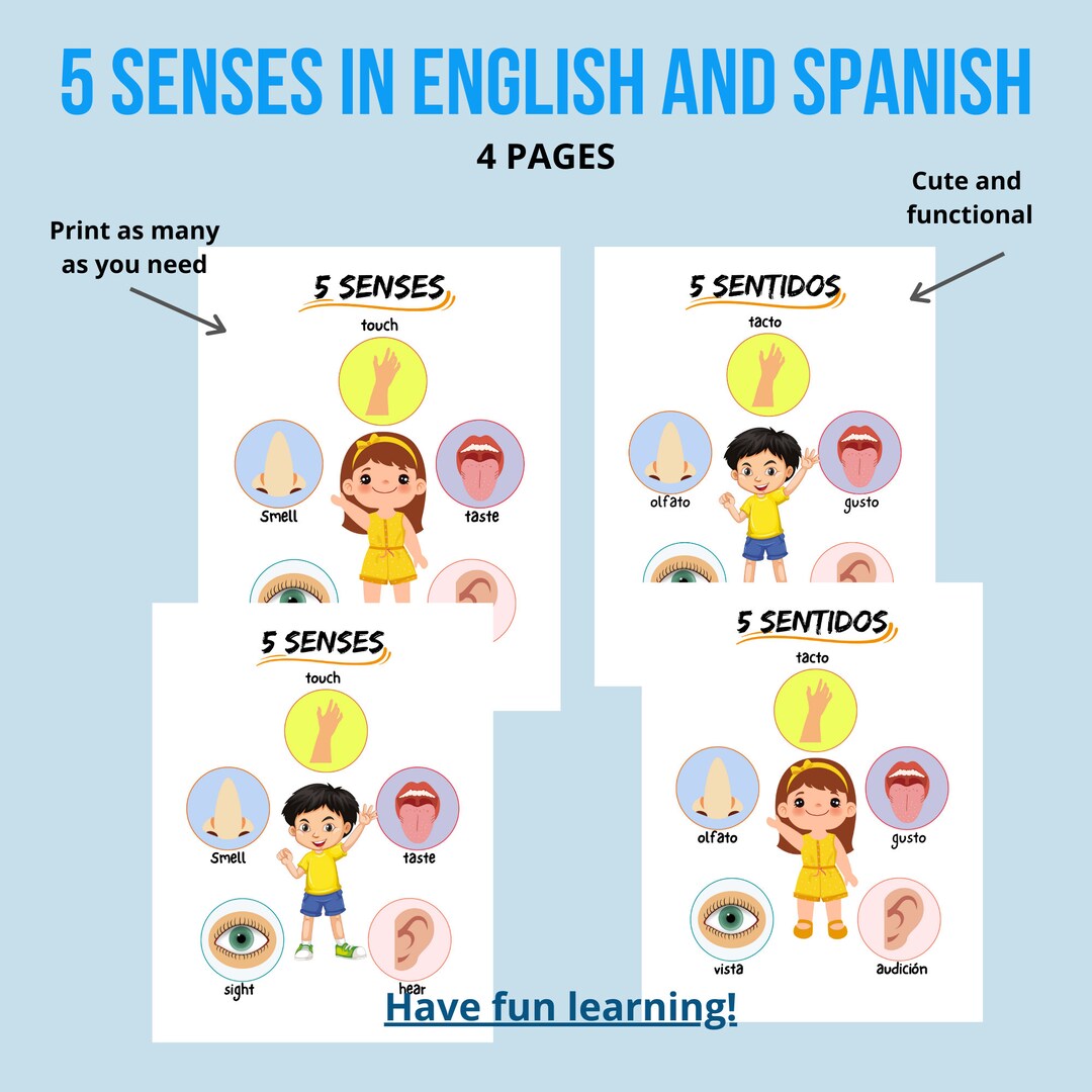 5 Senses English and Spanish - Etsy