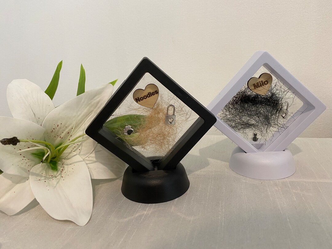 Custom Floating Frame Box Holder Display Stand Pet Memorial Fur ...