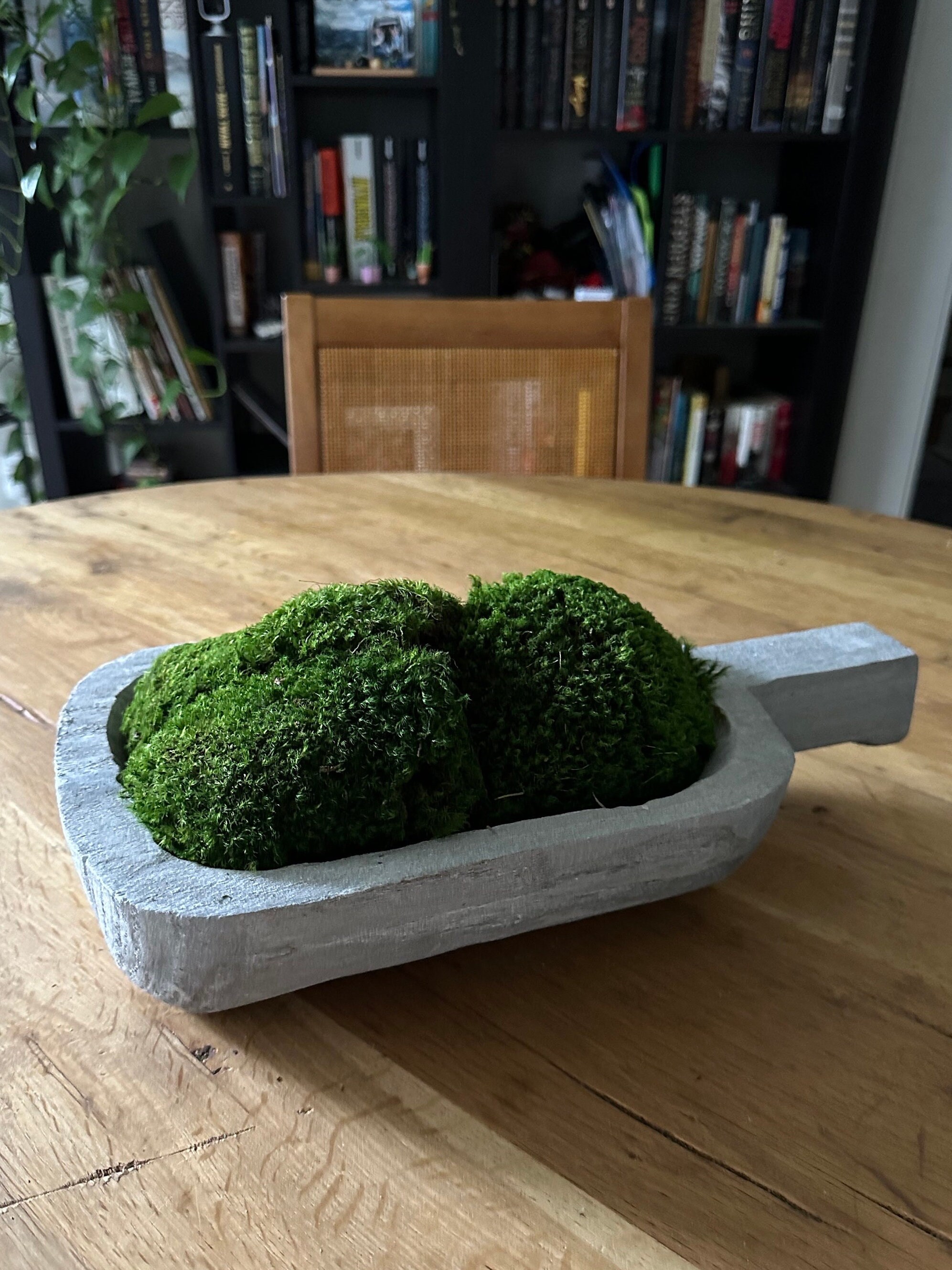 Preserved Moss Filled Dough Bowl - Etsy