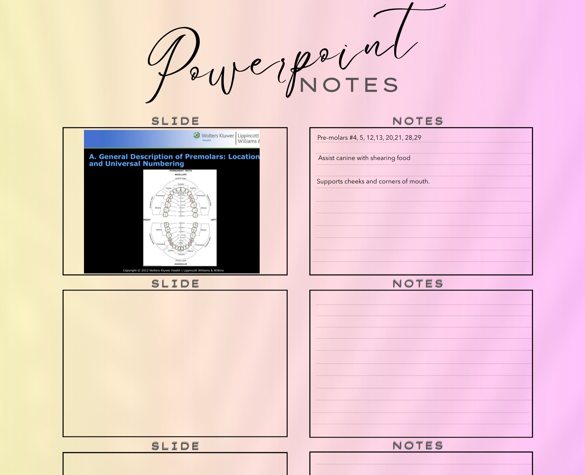 Powerpoint Note Taking Template - Etsy