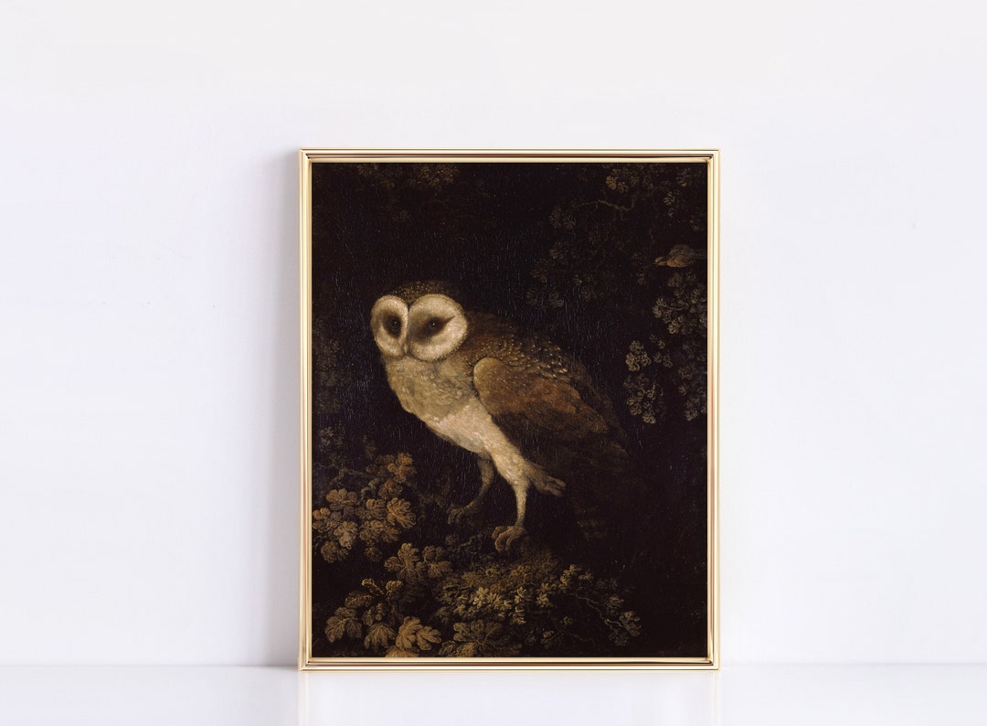 An Owl C. 1780-1790 | Moses Haughton Wall Art | Vintage Owl Printable ...