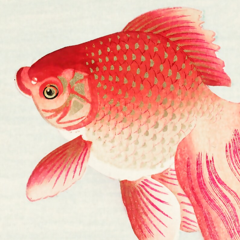 Ohara Koson Posters Set of 6 | Ohara Koson Wall Art | Vintage Japanese ...
