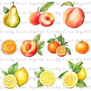 Watercolor Fruit Clipart PNG, Tropical Fruit Illustrations, Citrus ...