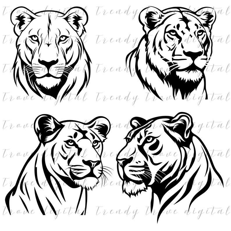 Lioness SVG Bundle: Wild Animal Clipart, Tattoo Stencil (digital ...