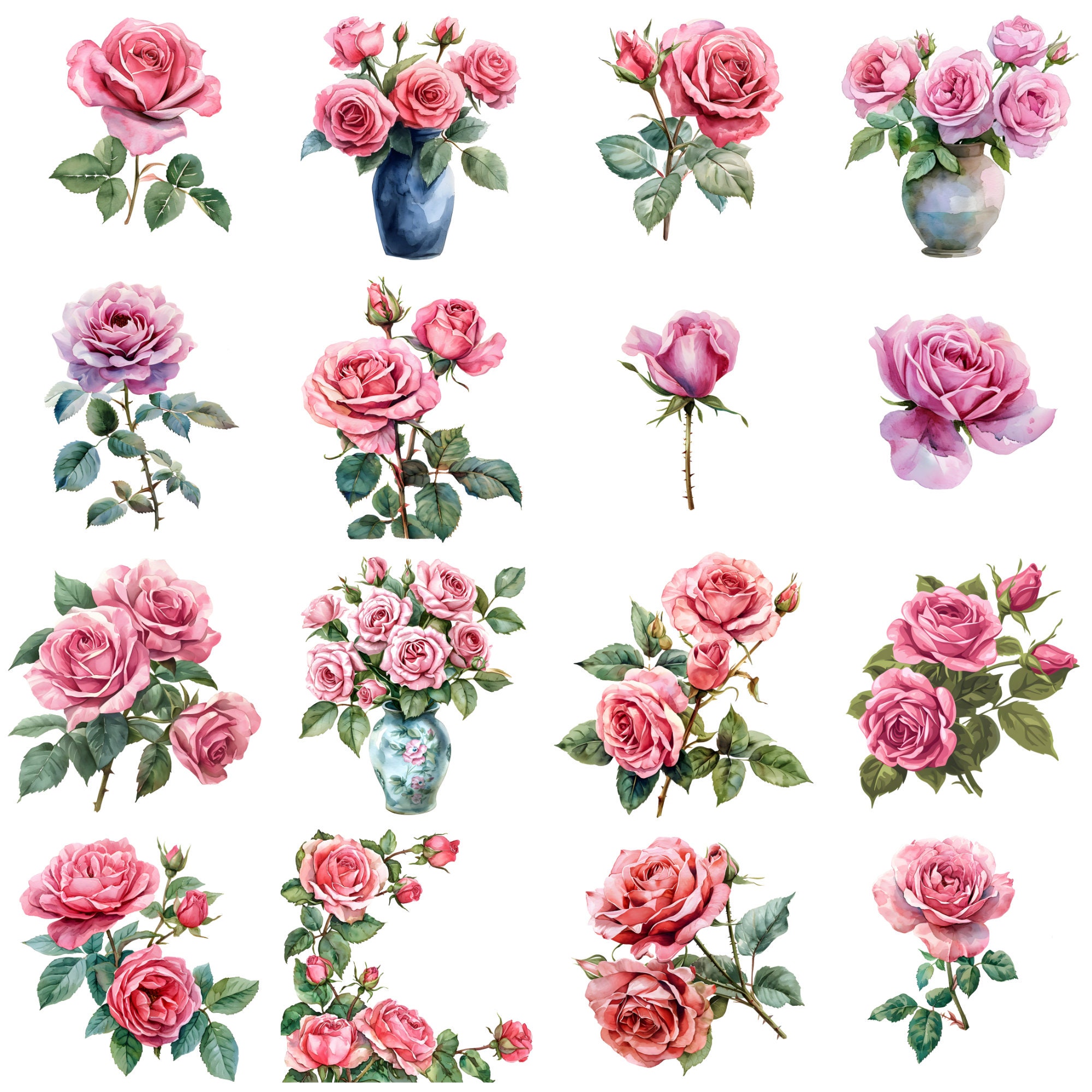 Pink Watercolor Roses Clipart Set 54 PNG Files, High-resolution Floral ...