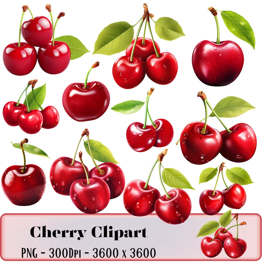 Watercolor Cherry Clipart: 14 PNG Bundle (digital Download) - Etsy