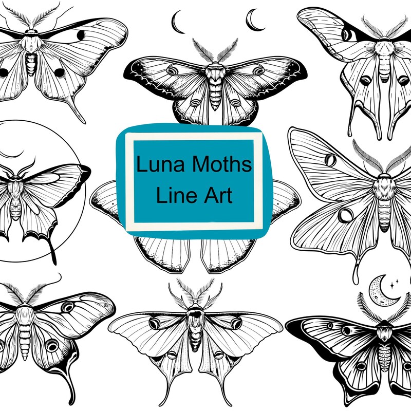 Luna Art - Etsy