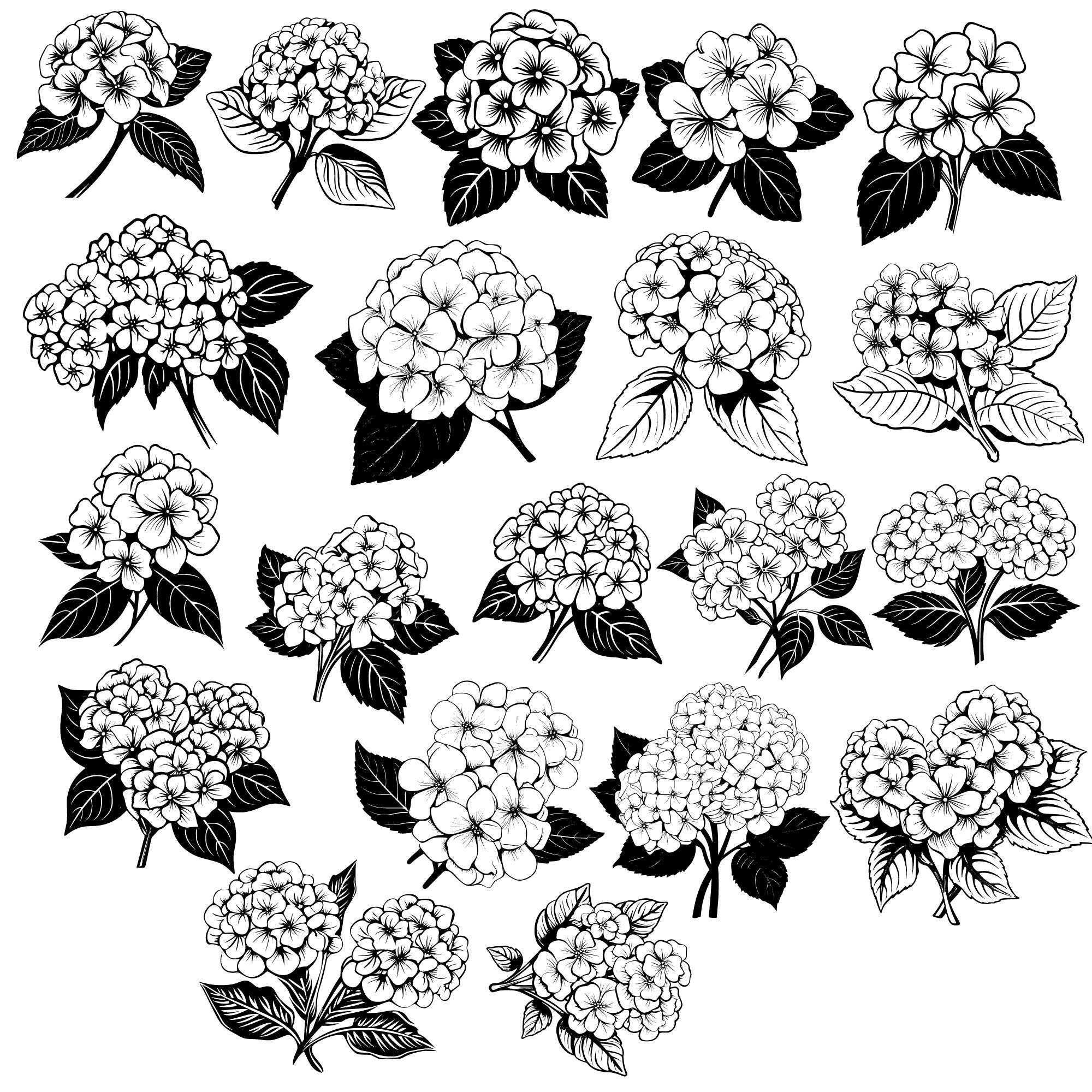 Hydrangea SVG Bundle: Floral Cut Files, Botanical Clipart (digital ...