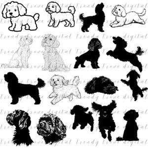 Cavapoo SVG Bundle, Cute Cavapoo Clipart, Doodle Dog PNG, Cavapoo ...