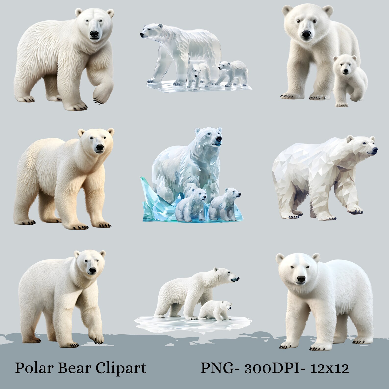 Polar Bear Clipart, High Resolution 300 DPI PNG, Transparent Background ...