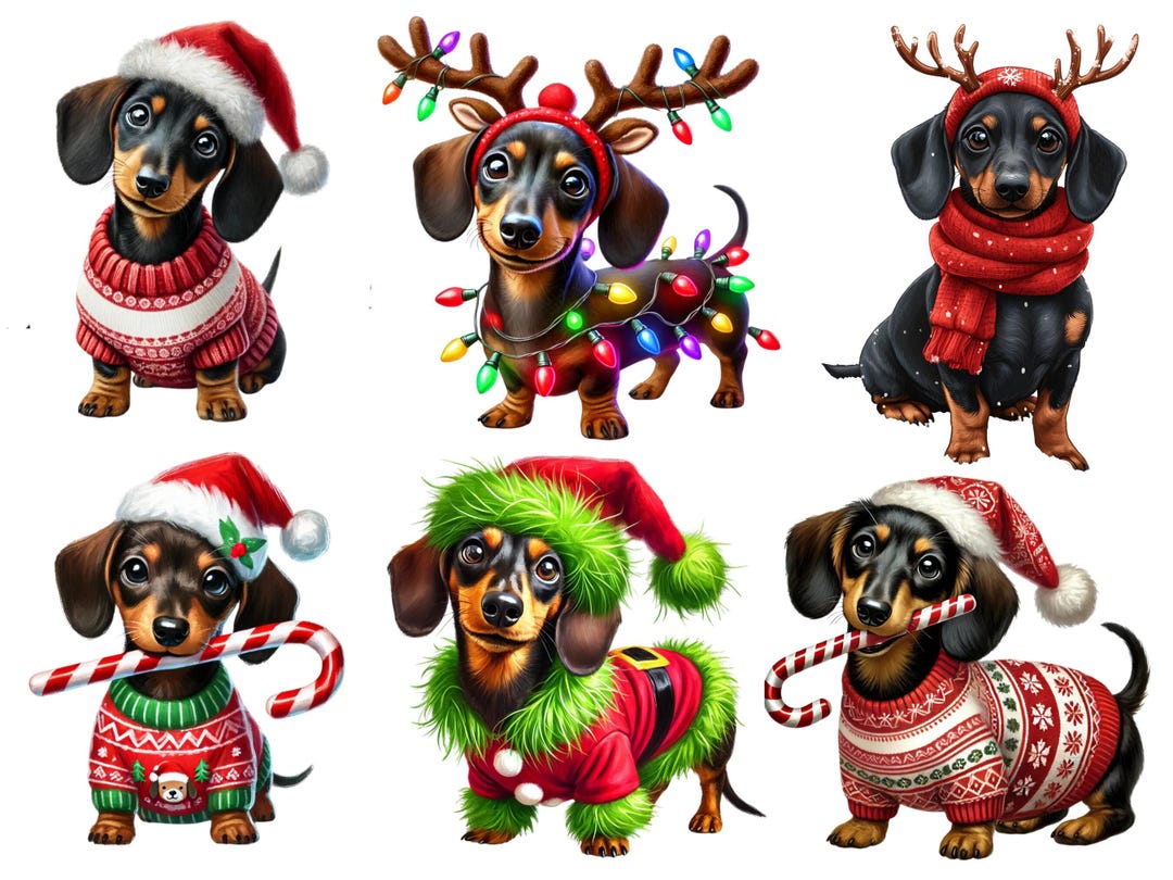 Christmas Dachshund, Christmas Dog, Dog Lover Png, Dachshund Lover Png ...