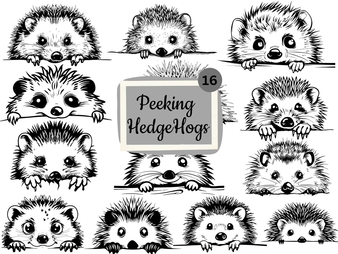 Peeking Hedgehogs Svg Clipart, Cute Peeking Animals for Commercial Use, Eps, Dxf, Svg, Png - Etsy