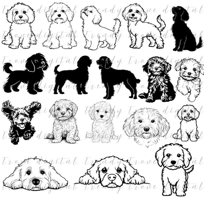 Cavapoo SVG Bundle, Cute Cavapoo Clipart, Doodle Dog PNG, Cavapoo ...