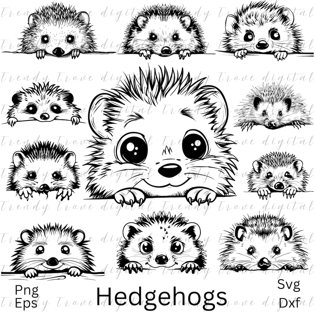 Peeking Hedgehogs Svg Clipart, Cute Peeking Animals for Commercial Use, Eps, Dxf, Svg, Png - Etsy