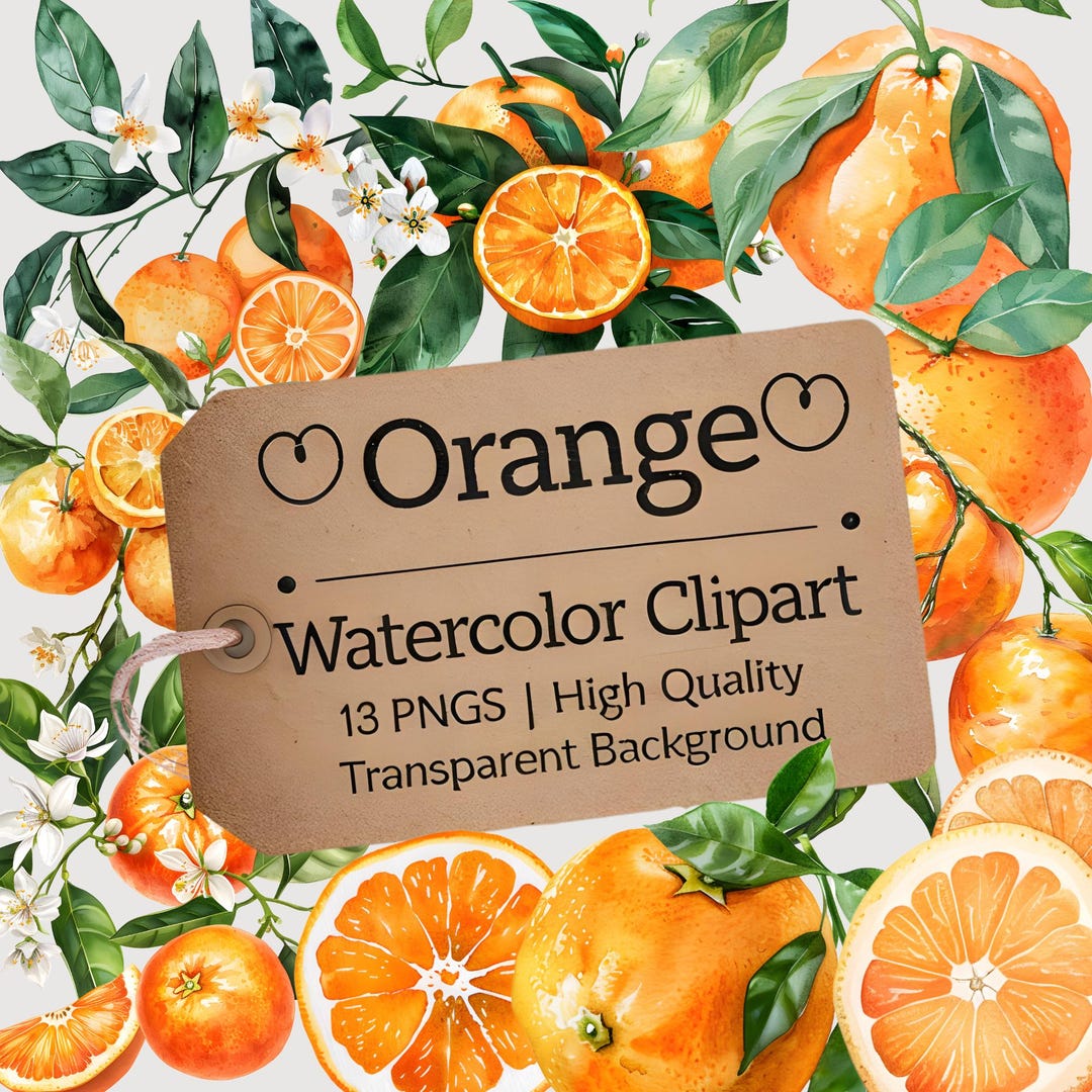 Orange Watercolor Clipart, Citrus Fruit, Lemon and Orange Digital Art ...