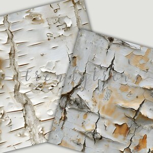 White Birch Bark Digital Paper, Birch Tree Backgrounds, White Wood ...