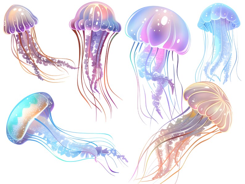 Watercolor Jellyfish Clipart, Cute Nautical Ocean Animals PNG Clip Art ...