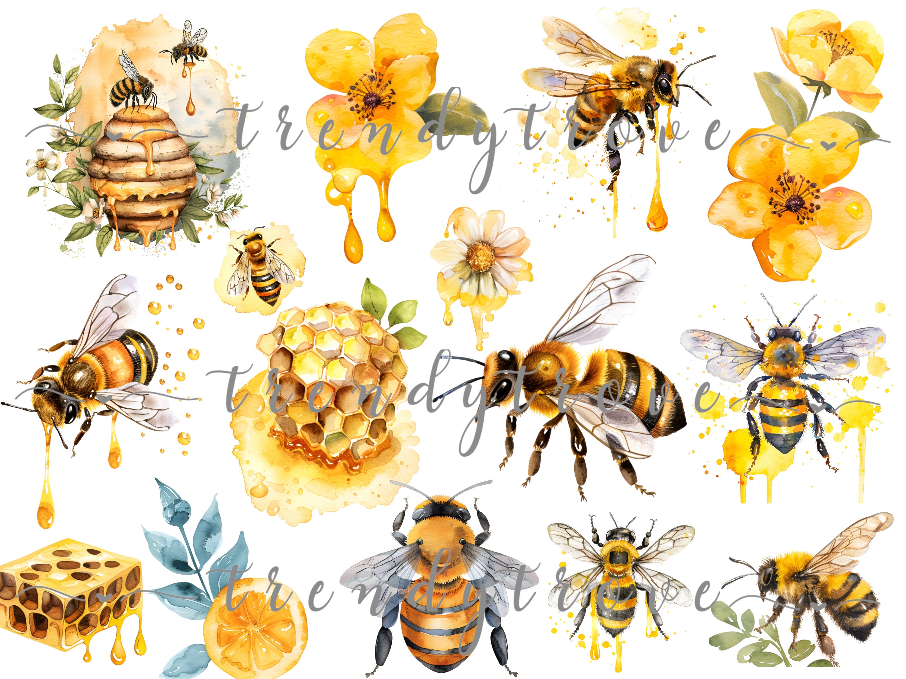 Watercolor Honey Bee Clipart, Spring Garden Bee and Honey Drips Clip ...