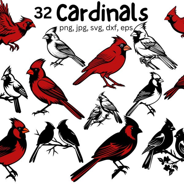 Cardinal Svg - Etsy