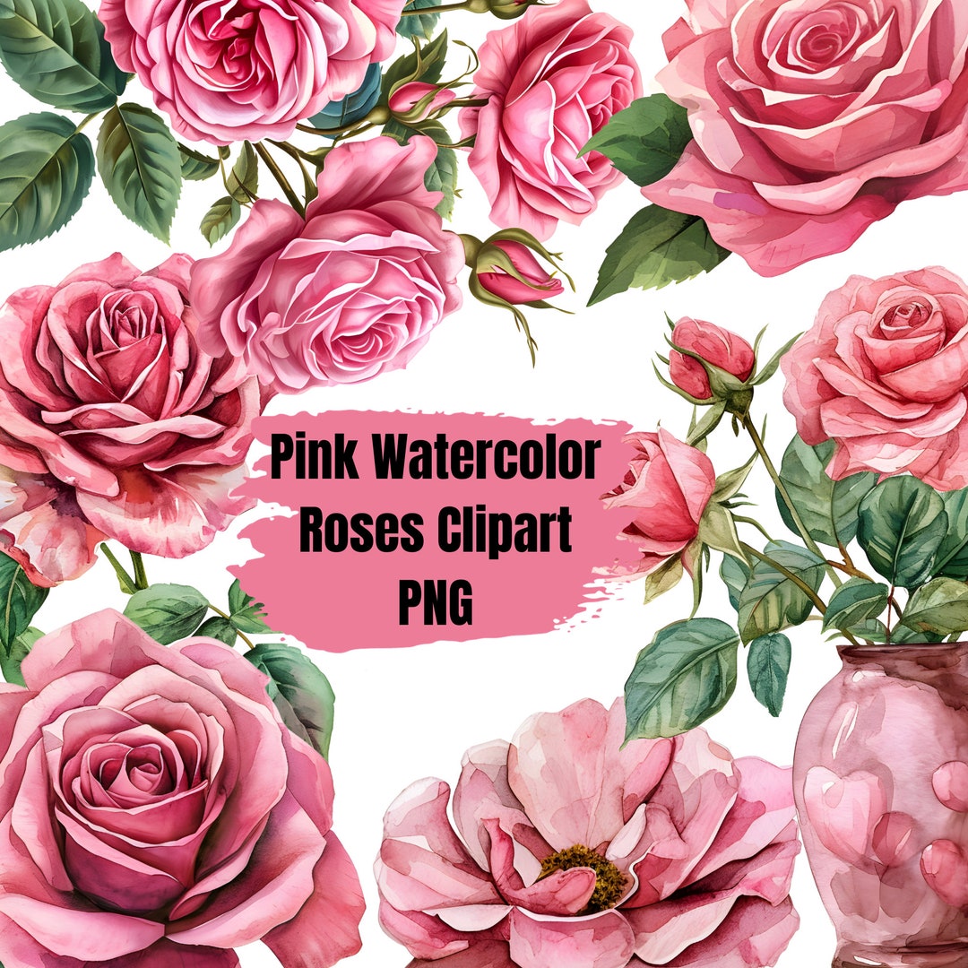 Pink Watercolor Roses Clipart Set 54 PNG Files, High-resolution Floral ...
