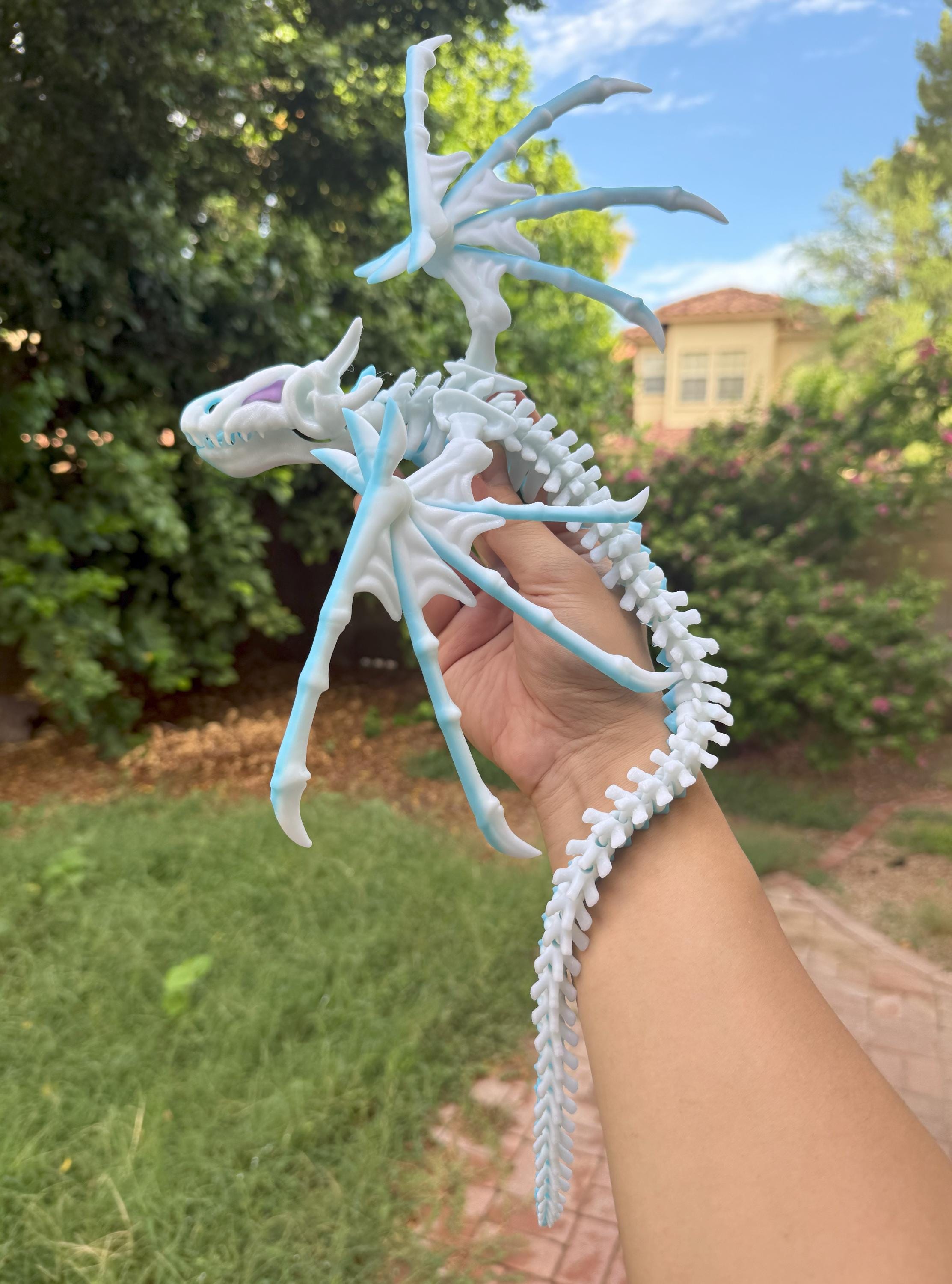 3D Printed Biting Dragon Skeleton Articulated Desktop Toy Moehearts ...