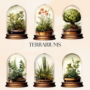 Terrarium Clip Art Pack, Clipart for Commercial Use, Transparent Pngs ...