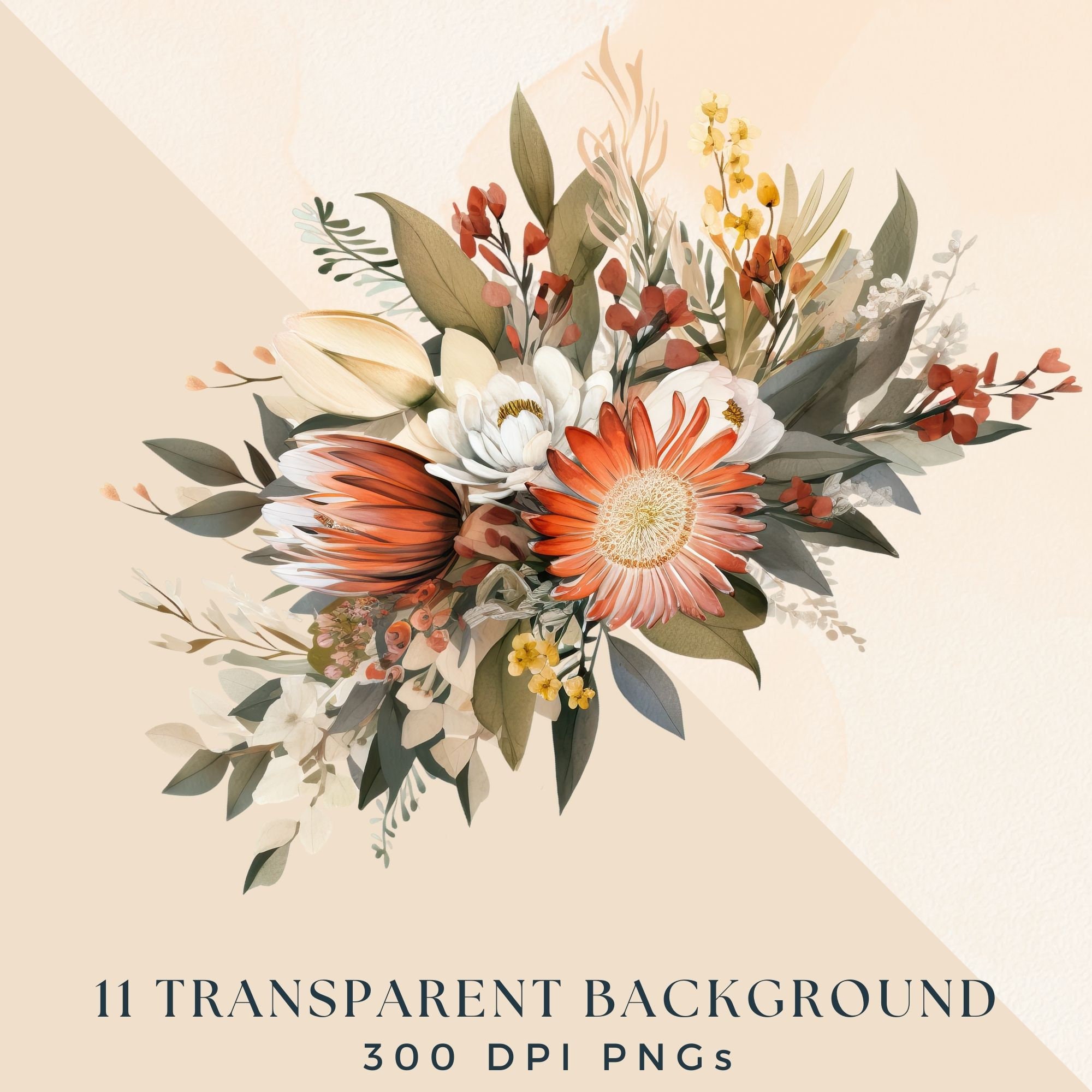 Australian Native Flower Bouquet Clipart, Protea Flowers, Transparent ...