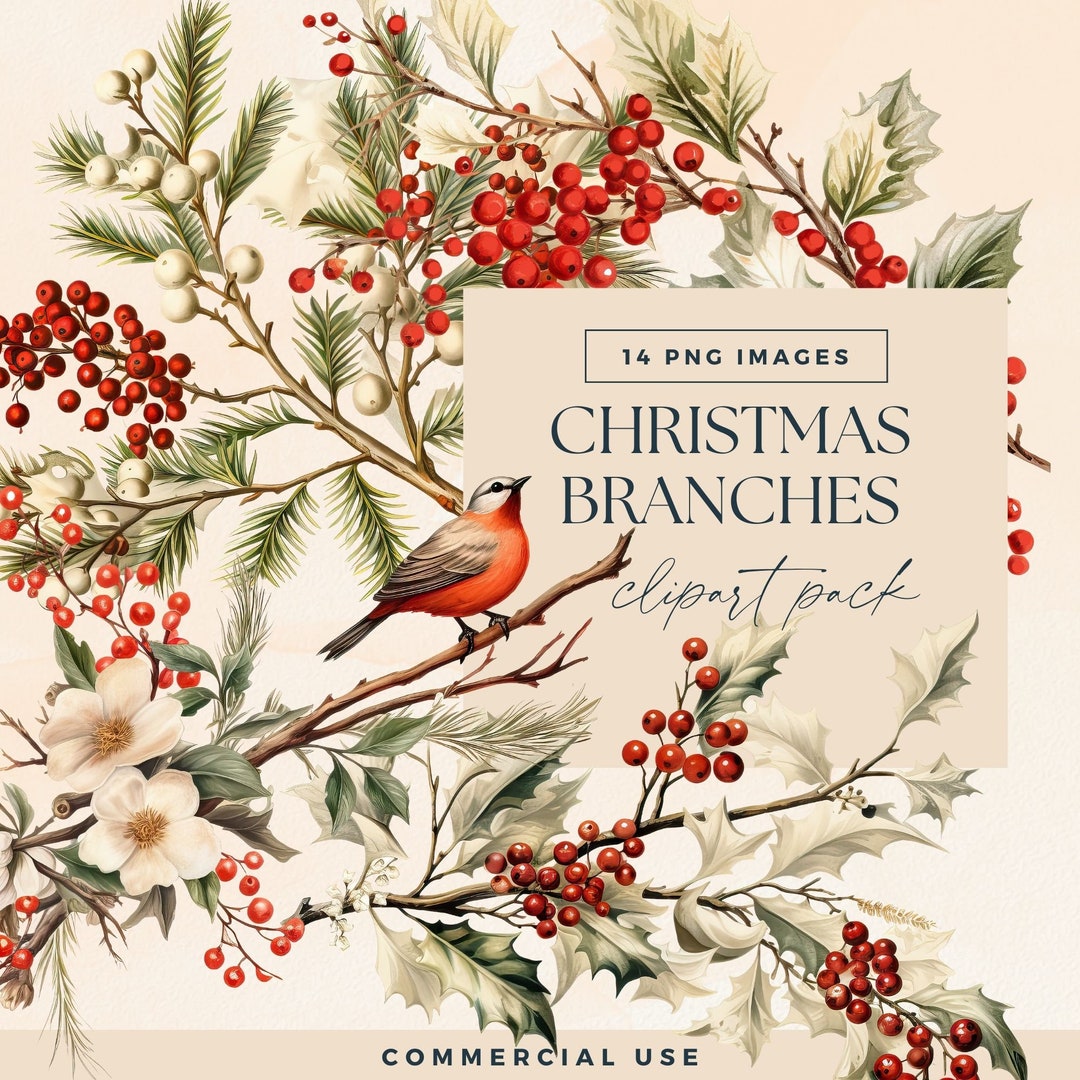 Watercolour Christmas Branch Clipart, Seasonal Pine Foliage Clip Art ...