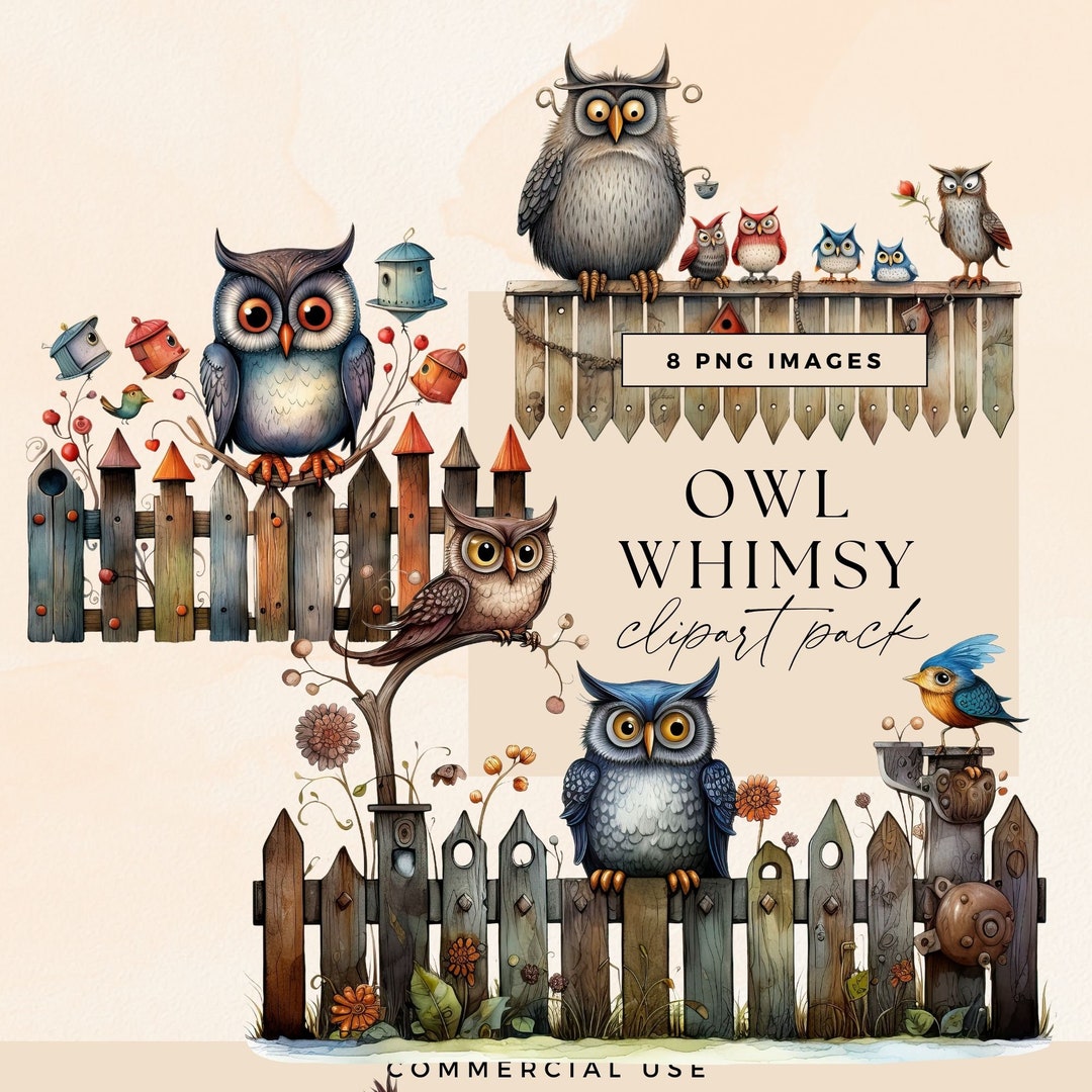 Whimsical Owl Clipart Bundle, Transparent PNG, Bird Quirky Art, Whimsy ...