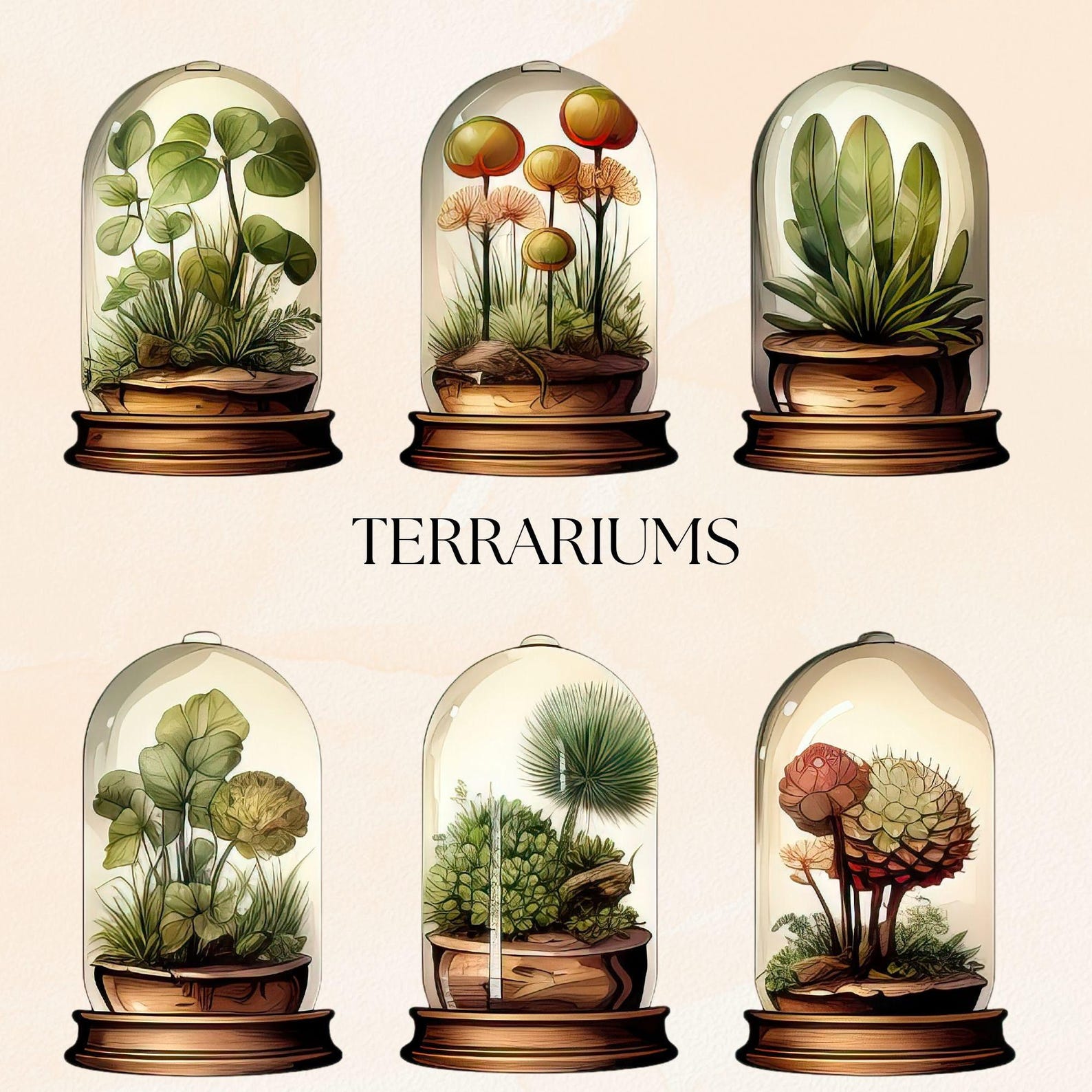 Terrarium Clip Art Pack, Clipart for Commercial Use, Transparent Pngs ...