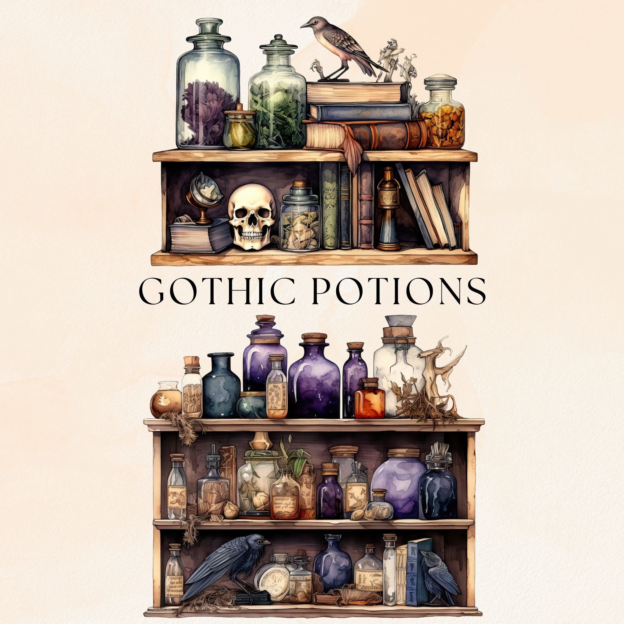 Gothic Potion Bottles Clipart, Apothecary Shelves Clip Art, Mystical ...